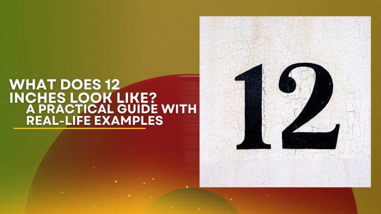What Does 12 Inches Look Like? A Practical Guide with Real-Life ...