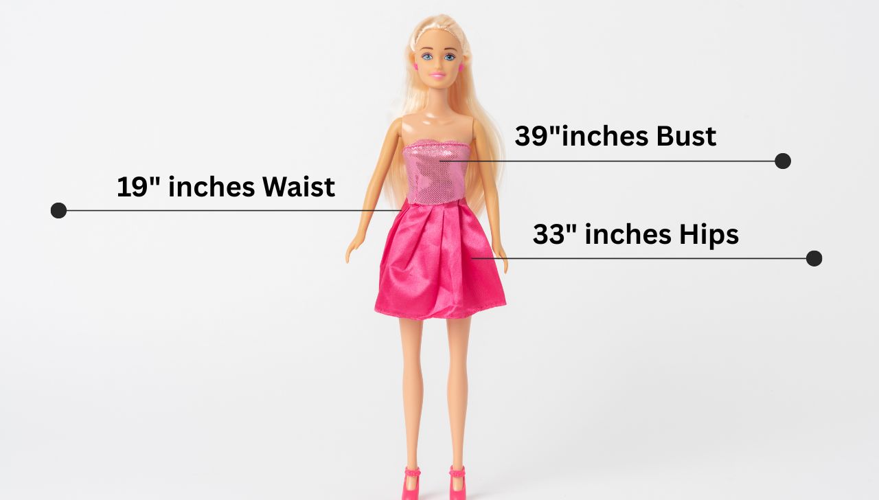 Understanding Barbie Doll Dimensions: A Comprehensive Guide - Size LLO